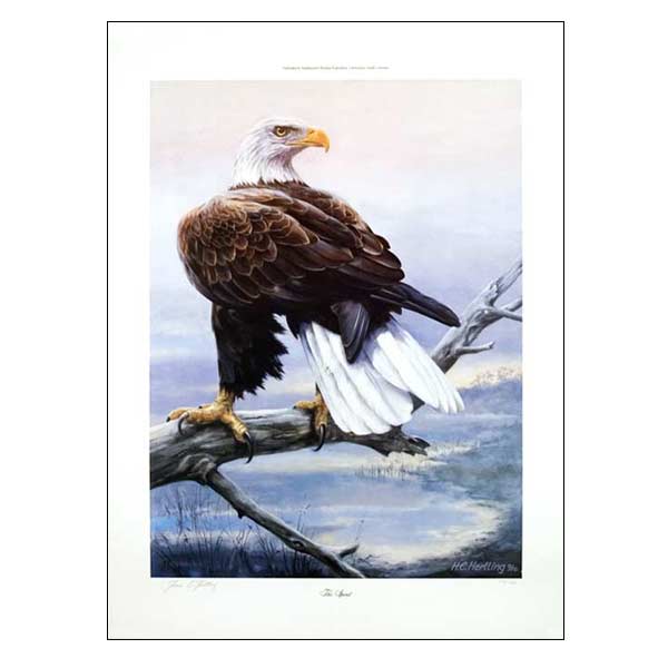 The Spirit | American Eagle Foundation