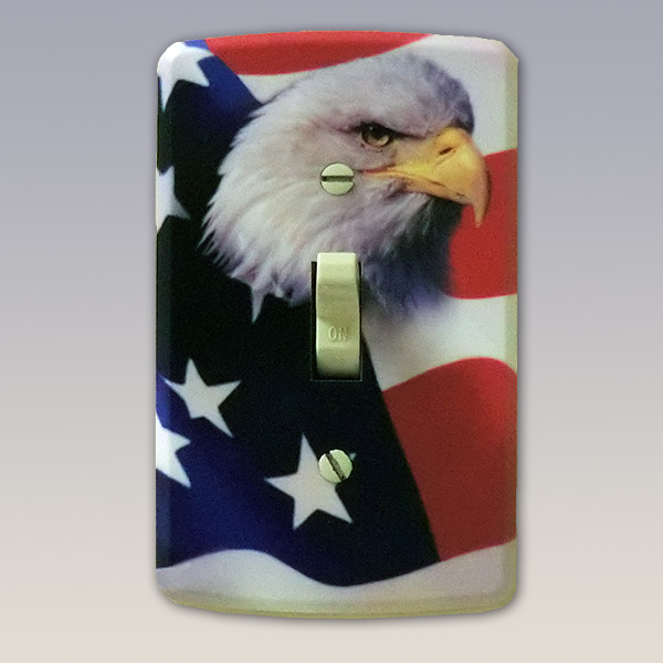 Switchplate Cover Featuring Eagle And Flag American Eagle Foundation 5573