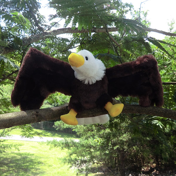 Plush Eagle ~ Landing | American Eagle Foundation