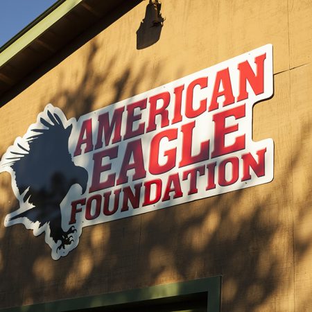 Eagle Portrait Pill Box – American Eagle Foundation
