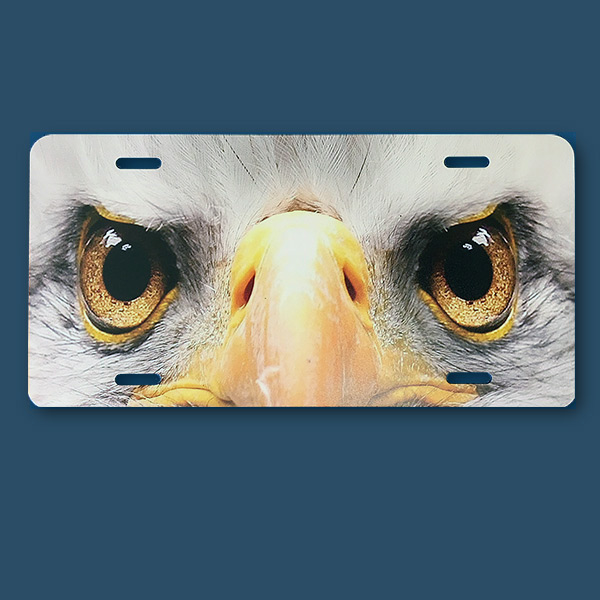 Novelty License Plate – Eagle Eyes | American Eagle Foundation
