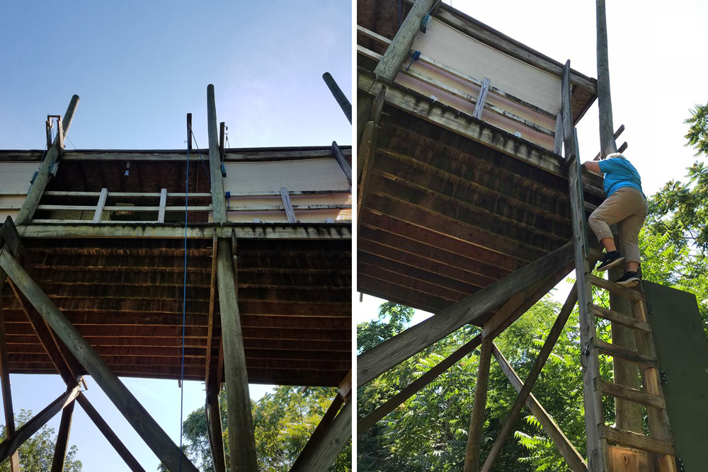 Chatter Reunion & American Eagle Day 2018 – A Scrapbook of Memories ...