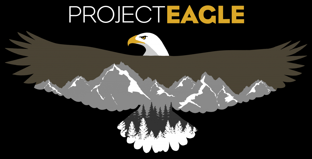 American Eagle Foundation | Protecting and Caring for Bald Eagles and ...